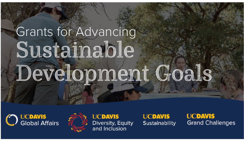 Grants for Advancing the United Nations Sustainable Development Goals (SDGs) | Global Affairs